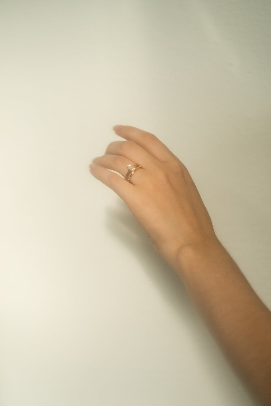 Into the Eclipse Ring - SANDY RUBIN